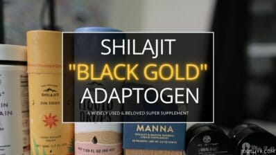 13+ Top Shilajit Supplements 2025: Ultimate Review