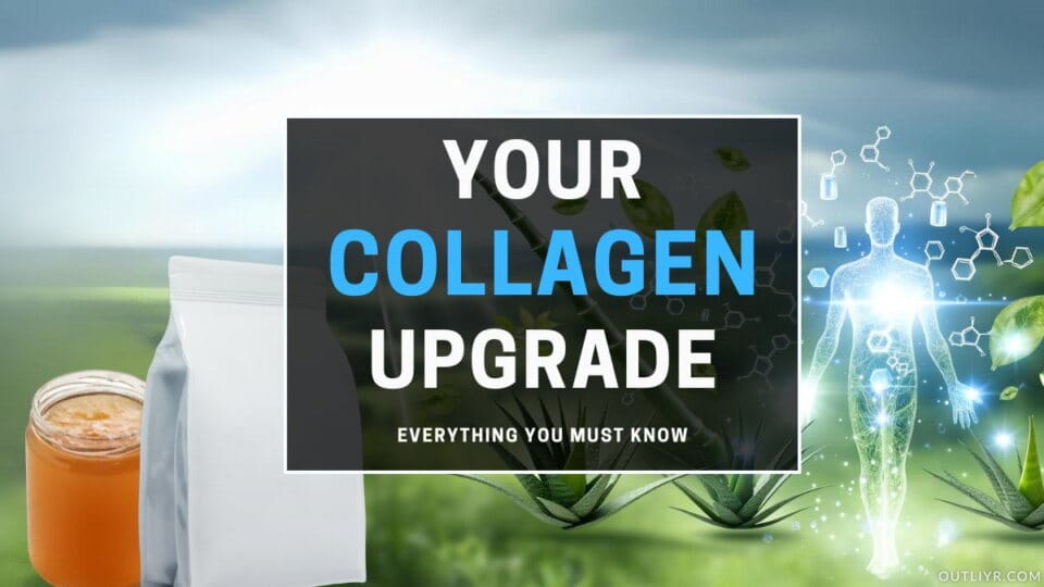 17+ Proven Ways To Increase Your Collagen Naturally (Sources, Tips, Foods)