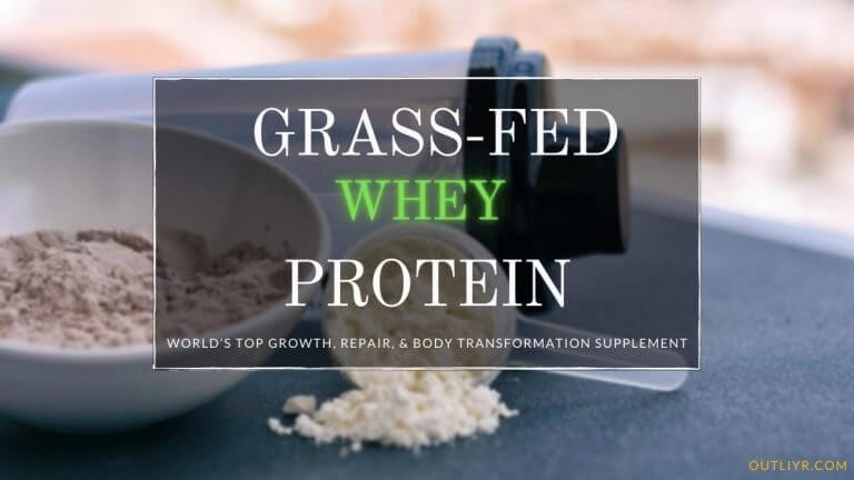 15 Top Grass-Fed Whey Protein Powders (2023 Review & Comparison)