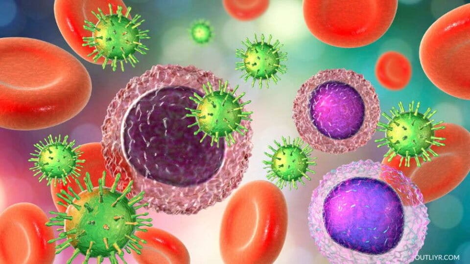 17 Polyphenol Benefits, Uses, Foods & Supplements For Health